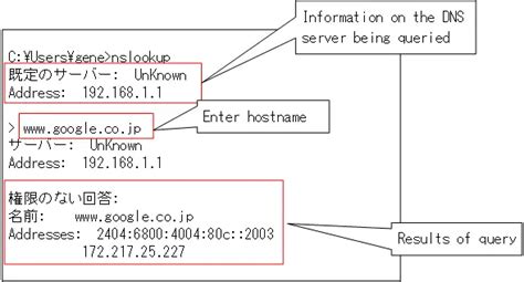 Nslookup Command Verifying DNS Name Resolution TCP IP N Study
