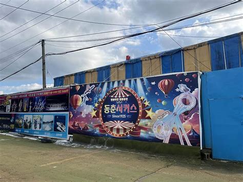 대부도 동춘서커스 관람 후기 99년 전통의 서커스 매력 속으로 빠져들다