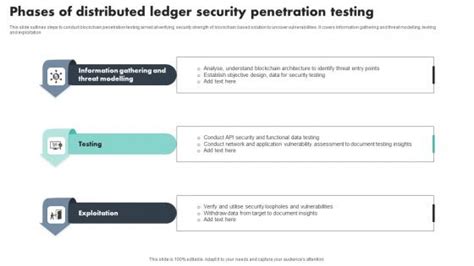 phases of distributed ledger security penetration testing download pdf