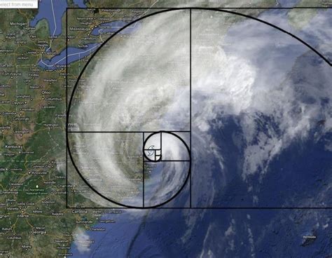 Fibonacci Sequence In Nature Meaning Symbolism Metaphysical Fesskingdom