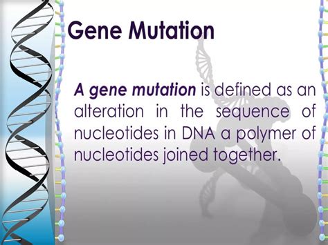 Gene Mutation And Its Types Ppt