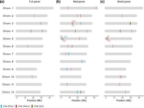 Summary Of Significant Snps Identified From Genome Wide Association