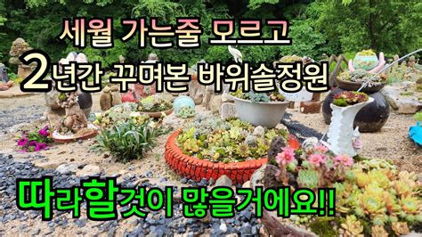 영하 20도에서도 노지에서 견디는 바위솔을 세월 가는줄 모르고 2년간 꾸며본 반려식물 바위솔정원 1부따라하실것이 많을것 같아요