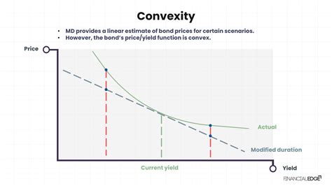 Convexity Definition How It Works Excel Workout
