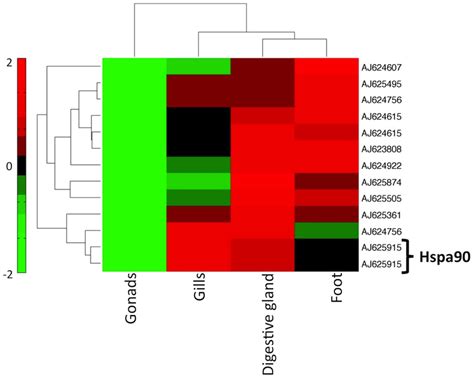 hierarchical clustering of 10 unique probes corresponding to genes