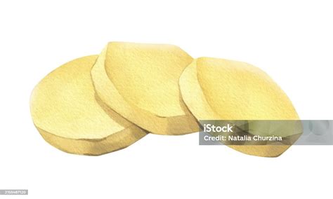 껍질을 벗긴 흰 감자를 둥글게 썰어 무더기로 접습니다 수채화 그림 수확 요리 음식 야채 가게를 주제로 손으로 그렸습니다 배경에서