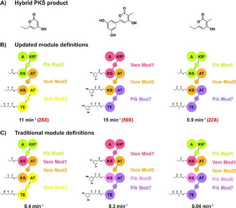 Hybrid Polyketide Synthases Constructed Using Both The Updated And The Download Scientific