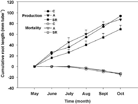 Cumulative Fine Root Length Production And Mortality Of Spruce Fine