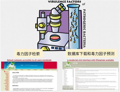 实用组学小工具——vfdb毒力基因注释 哔哩哔哩