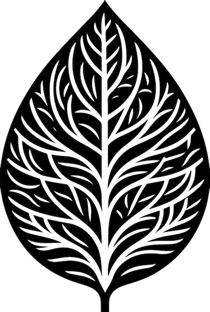 Premium Vector Leaf Shape Vector Silhouette Black Color Silhouette Solid