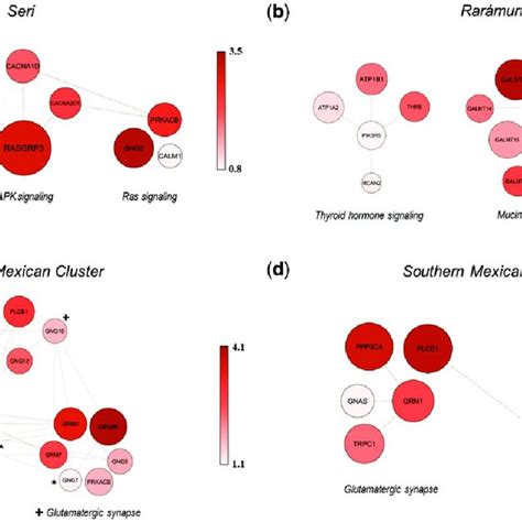 Fine Structure Hierarchical Clustering Dendrogram Based On Haplotype