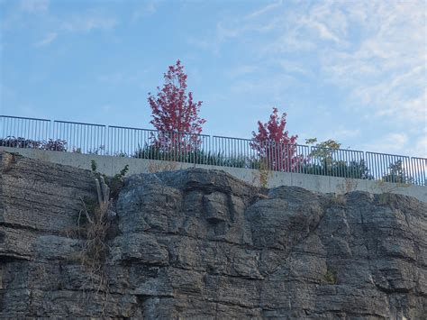 Ottawa Daily Photo The New Bridge