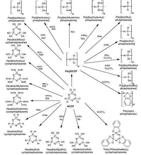 Cyclo And Polyphosphazenes For Biomedical Applications Encyclopedia Mdpi