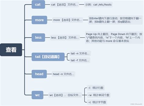 Linux目录和文件管理 Csdn博客