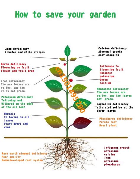 100g Edta Chelated Trace Element Fertilizer Pure Bonsai