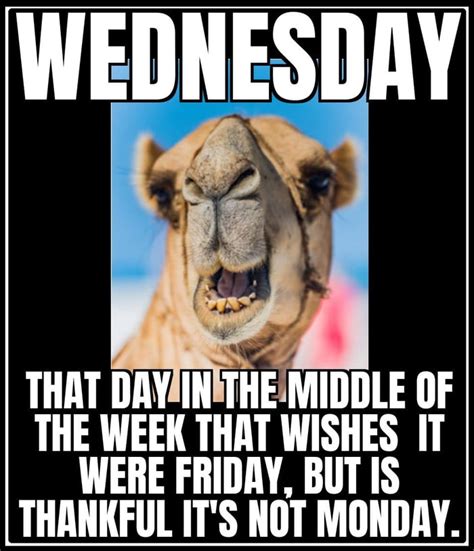 Wednesday Funny
