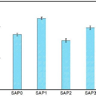 SEM Images Of A SAP0 B SAP1 C SAP2 And D SAP3 Download Scientific Diagram