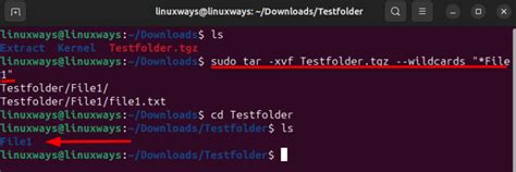 How To Unzip Tgz File Using The Terminal LinuxWays