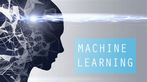 Best Insights Of Supervised Learning Algorithms Unveiled