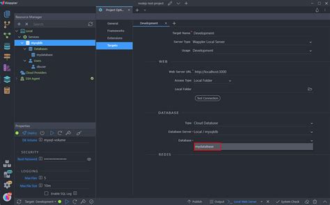 wappler documentation using a single local database server for all