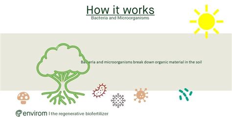 Envirom On Linkedin Bacteria And Microorganisms Composting 🍄 🐛 ♻ 🌱 The Aerobic Bacteria…