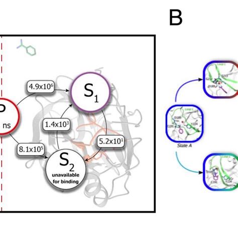 Pdf Ligand Binding Free Energy And Kinetics Calculation In 2020
