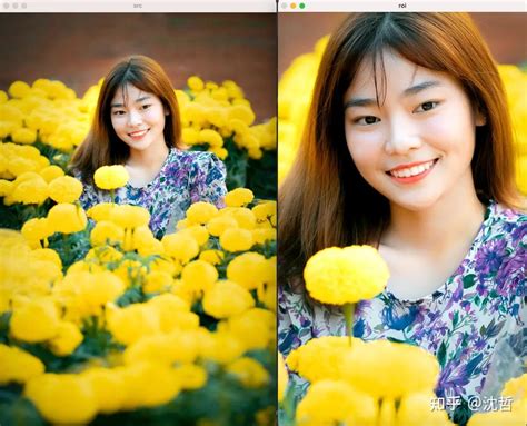 Opencv 笔记1：图像的读取、显示、创建 知乎