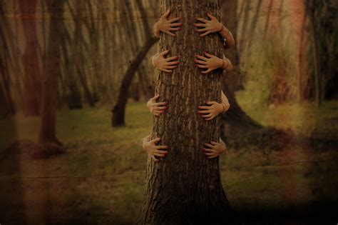 배경 화면 나무 자연 소녀 포토샵 초현실주의 공상 4000x2664 734083 배경 화면 Wallhere