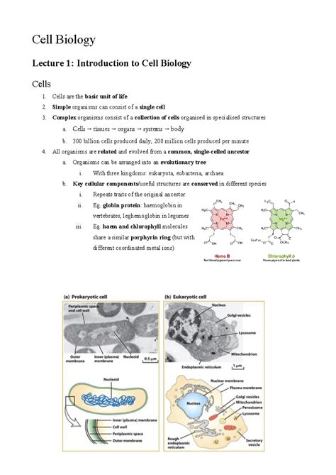 Bioc0001 Notes Cell Biology Lecture 1 Introduction To Cell Biology Cells 1 Cells Are The