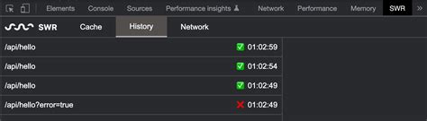 swr devtools