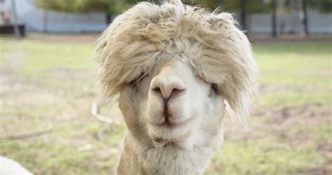 Javed K On Linkedin Strangereactions Projectworkconfusion