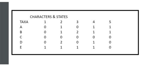 Lab Phylogenies BIOL Lab Manual