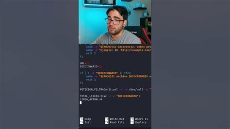 cómo crear un script en bash para hacer fuzzing web short