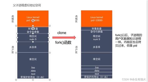 父子进程的虚拟空间 子进程和父进程共享内存吗 csdn博客