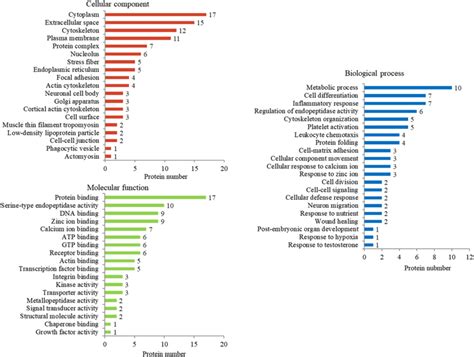 Histogram Of Go Classification Of Differentially Expressed Proteins