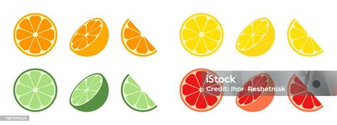 감귤류 슬라이스 오렌지 레몬 자몽 라임의 감귤류 아이콘 과일 과일은 비타민 C 라운드 반 주스 과일 슬라이스 흰색 배경에 격리 된 플랫 아이콘입니다 벡터 자몽에 대한 스톡