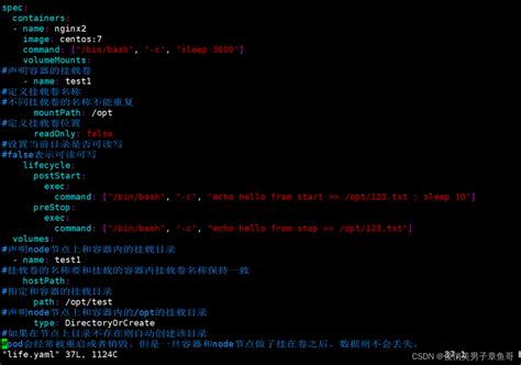 K8s中的容器探针