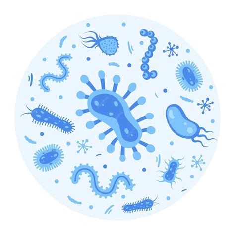 Premium Vector Different Bacteria Pathogenic Microorganisms In A