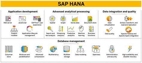 An Overview Of SAP HANA Tutorial Learn In Day FREE Updated