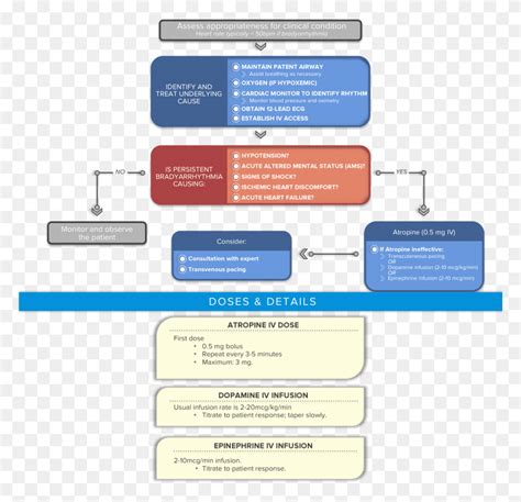 Algorithm Acls Bradycardia With A Pulse Acls Bradycardia Algorithm 2018