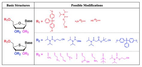 Oligonucleotide Structure