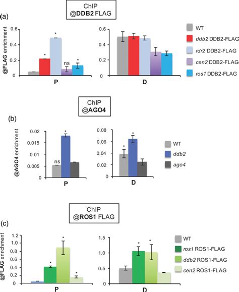 Figure 3 From Dual Control Of Ros1 Mediated Active Dna Demethylation By