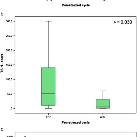 Correlation Between Cycles Of Pemetrexed And Thymidylate Synthase Ts Download Scientific