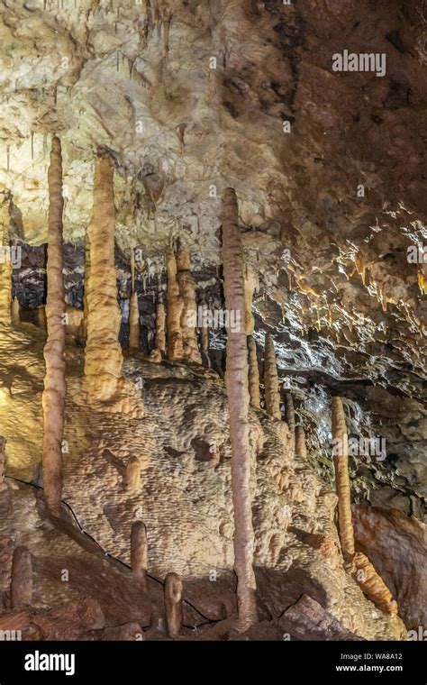 Han Sur Lesse Belgium June 25 2019 Grottes De Han 7 Of 36