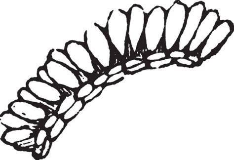 Erection Vector Art PNG Images Free Download On Pngtree