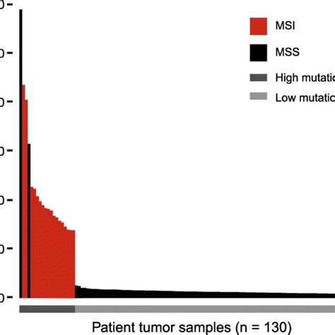 Mutational Load Of Tumor Samples Mutational Load Per Million Bases