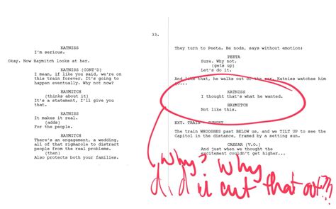 Catching Fire Script Exactly Like The Book