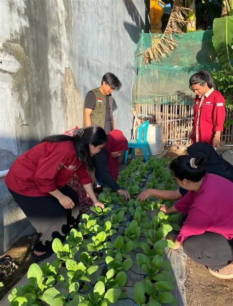 Ppk Ormawa Mahatani Unhas Ajar Kelompok Wanita Tani Kerabat Tanam