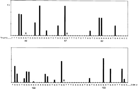 Relative Yields In Arbitrary Units As Determined By Densitometric