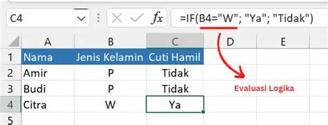 mengenali tipe data excel dan cara inputnya excelandor